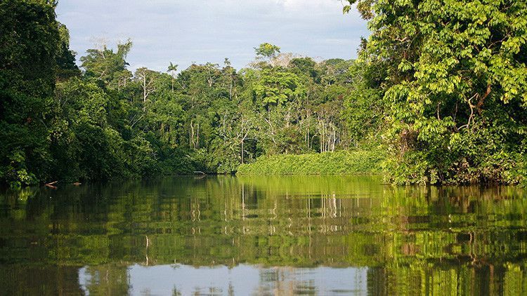 Perú y Ecuador impulsan una reserva natural transnacional - Ciudad Nueva