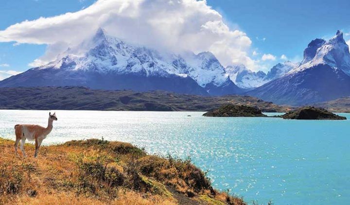 Conocer Chile desde el asombro - Ciudad Nueva