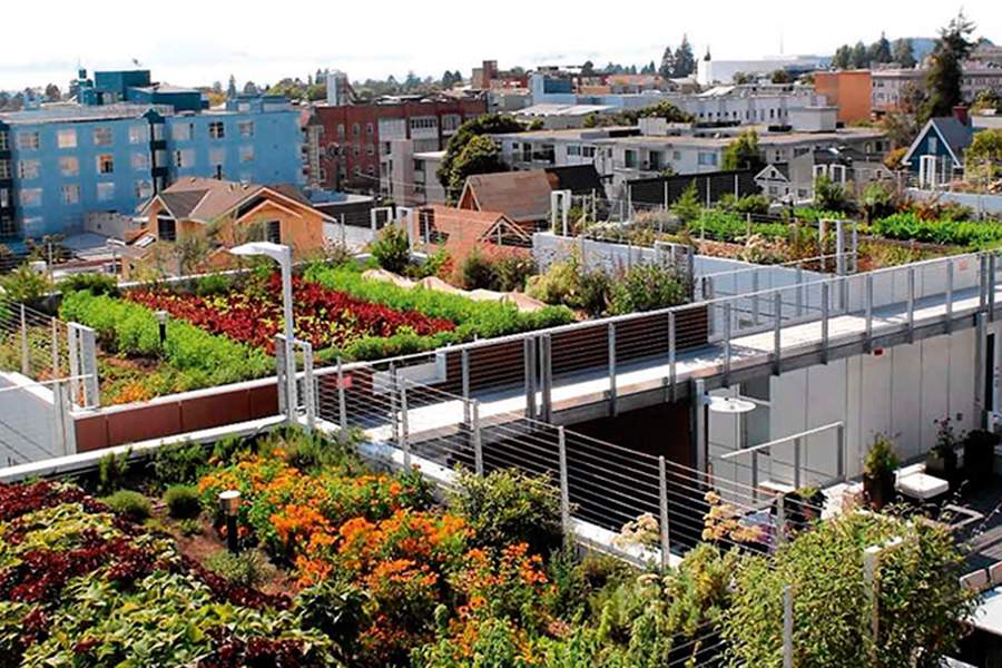 Ciudades con parques y techos verdes - Ciudad Nueva