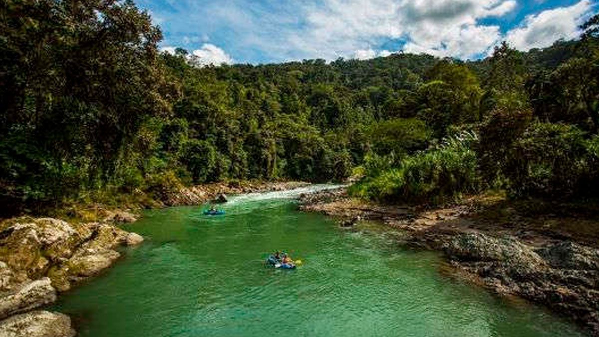 Estudio destaca la importancia de preservar los ríos tropicales de ...
